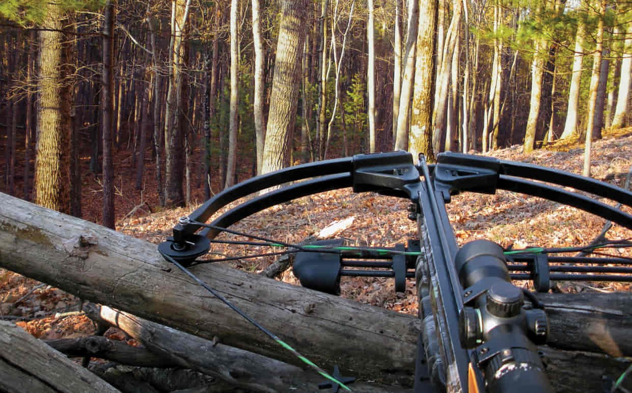 Hunting Turkeys With A Crossbow - Need-to-know Basics For You